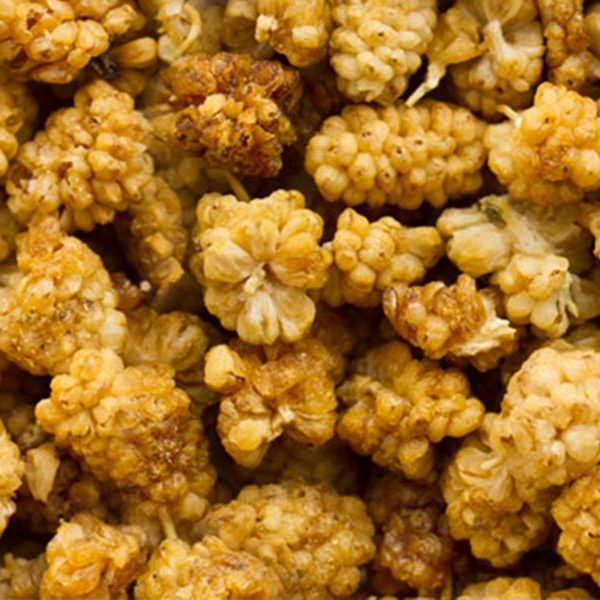 Fruits séchés en gros - NutriBoost Grossiste en alimentation